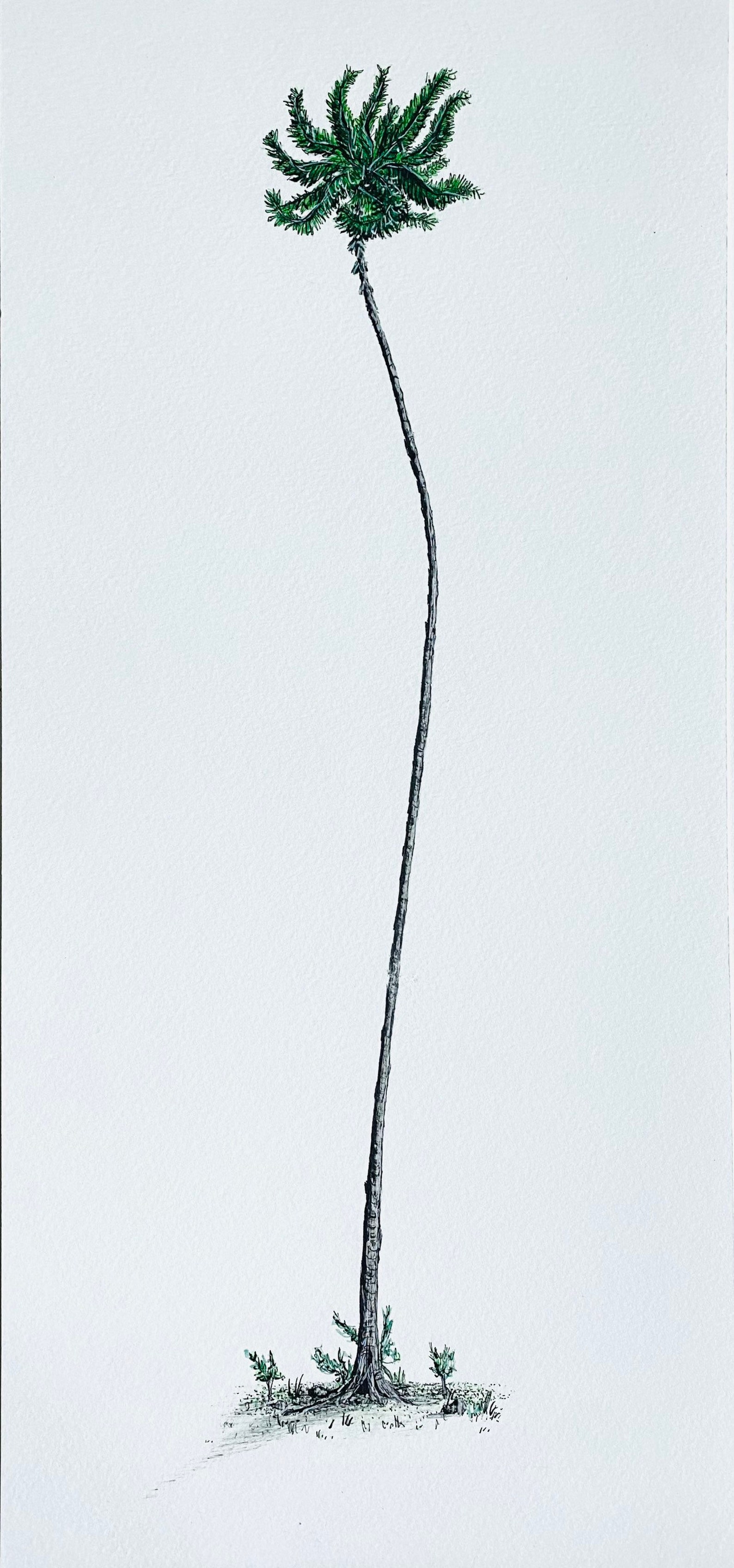 Palm Tree Ink Original Illustration. Fine Line Black Ink With - Etsy UK