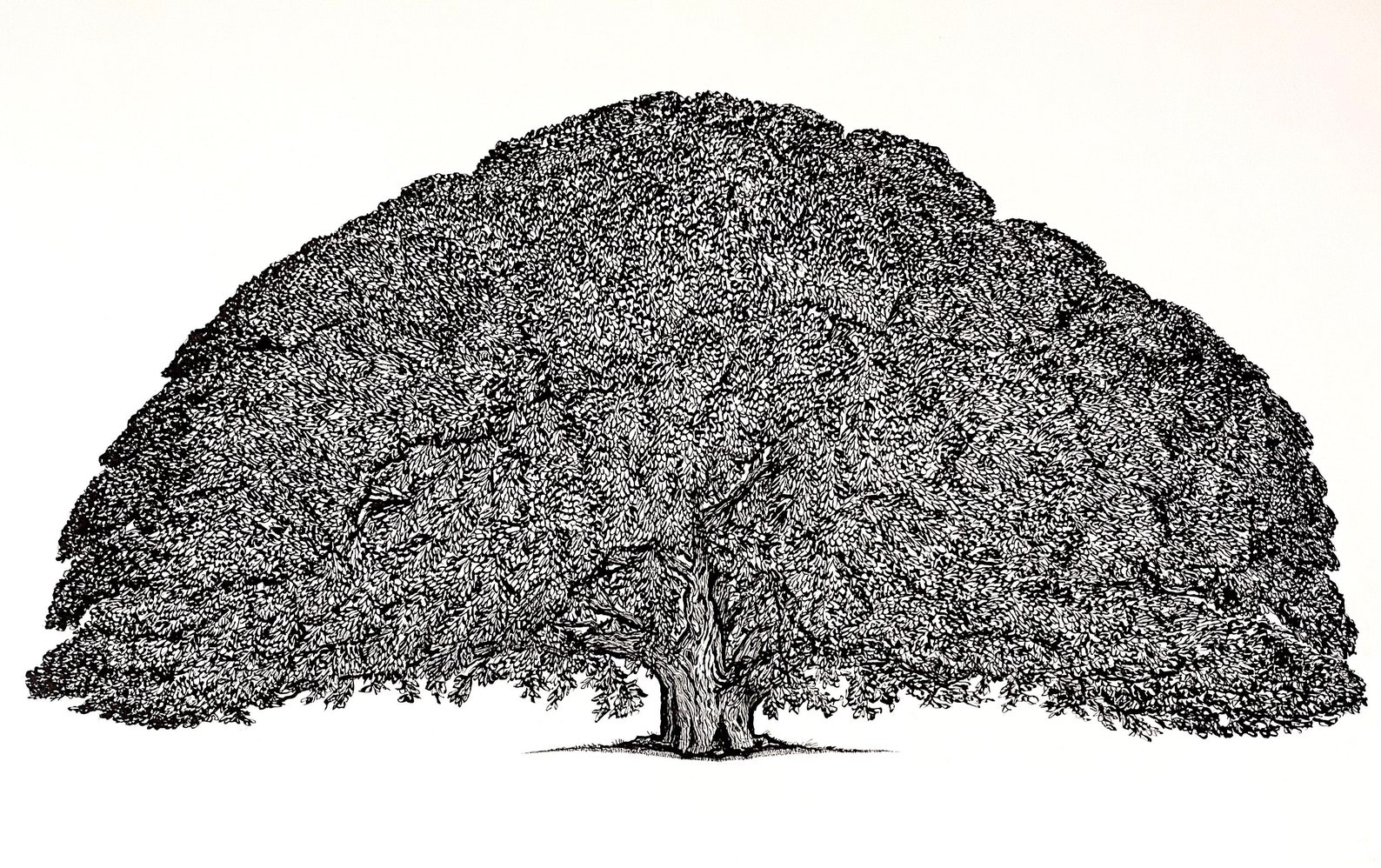 Fine Line Tree Original Large Wall Artwork. Pen and Ink Drawing. Black ...