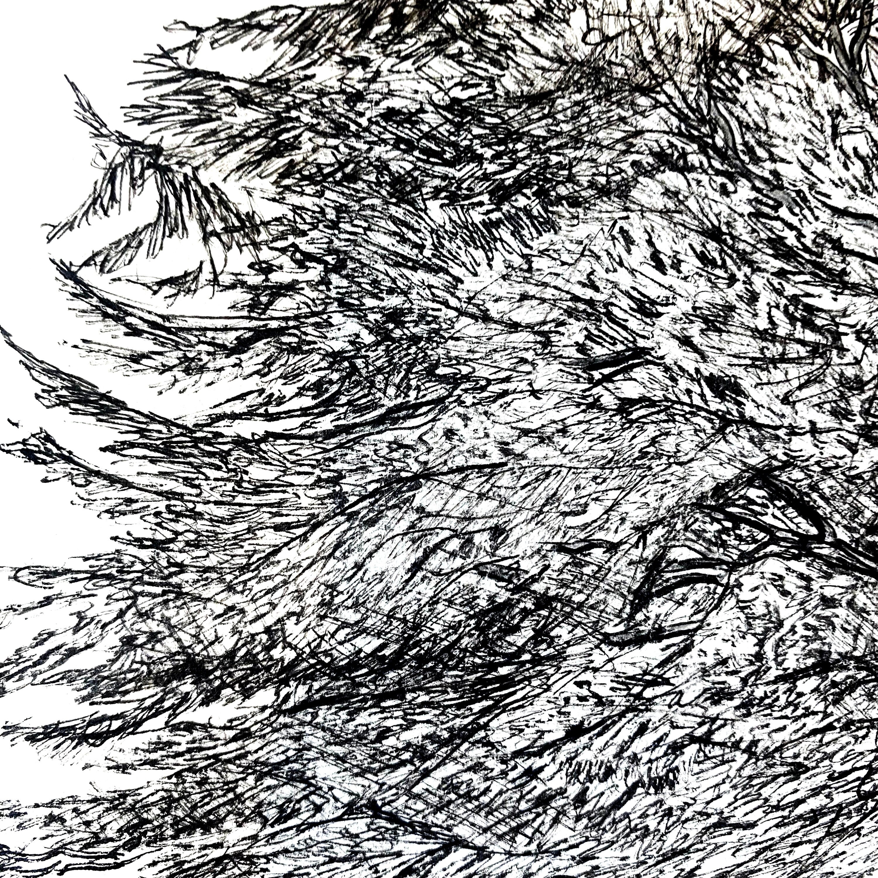 Yew | Original Ink Tree Drawing. Hand Drawn Fine Line. Black and White ...