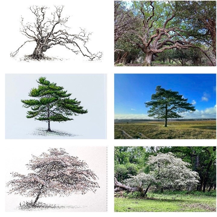 Tree Portrait Custom Ink Drawing. an Original Hand Drawn - Etsy