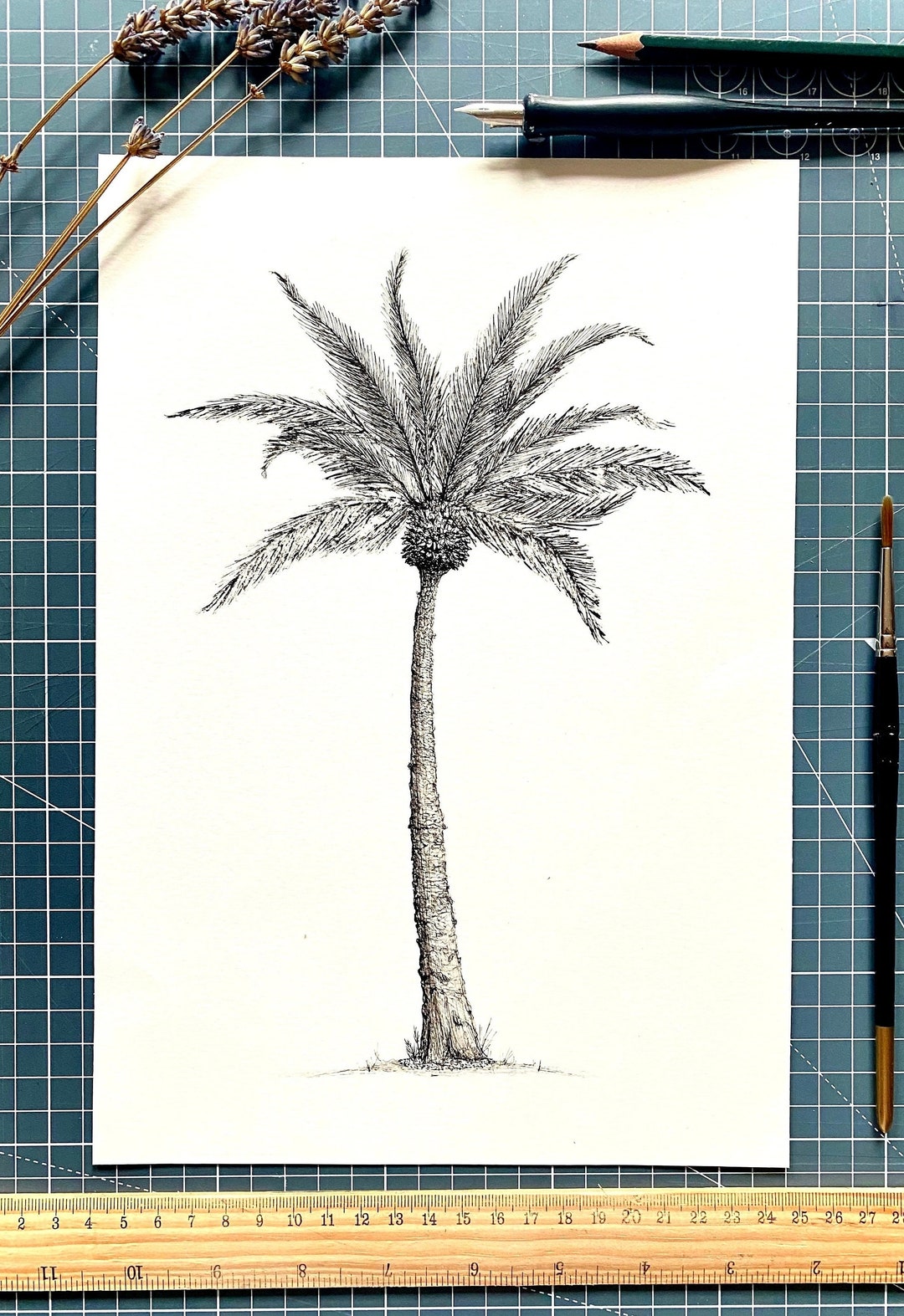Original Drawing, Palm Tree. California Nature. Fine Line, Detailed Pen ...