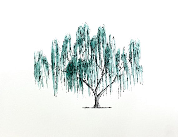 Drawing & Illustration white background original ink drawing Willow ...
