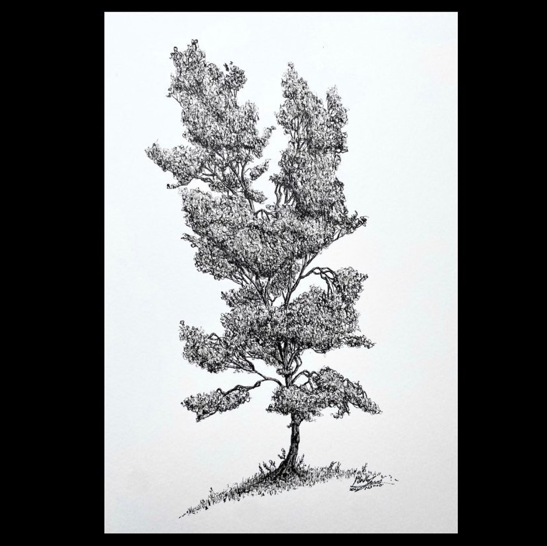 Original Tree Drawing Pen and Ink. A4 Portrait. Black and - Etsy