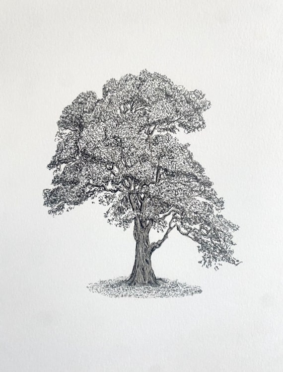 Old Pen And Ink Trees