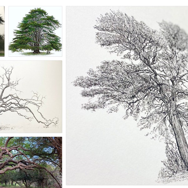 Original Hand Drawn - Etsy