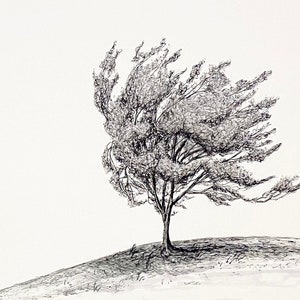 Ink Wash Tree | Original Tree Artwork. Ink With Water Wash, Sumi ...