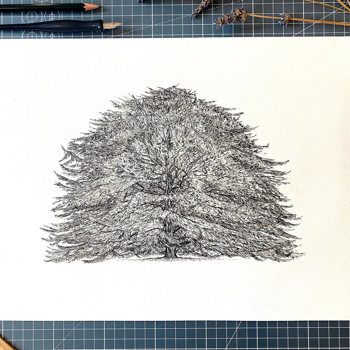 Yew | Original Ink Tree Drawing. Hand Drawn Fine Line. Black and White ...