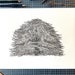 Yew | Original Ink Tree Drawing. Hand Drawn Fine Line. Black and White ...