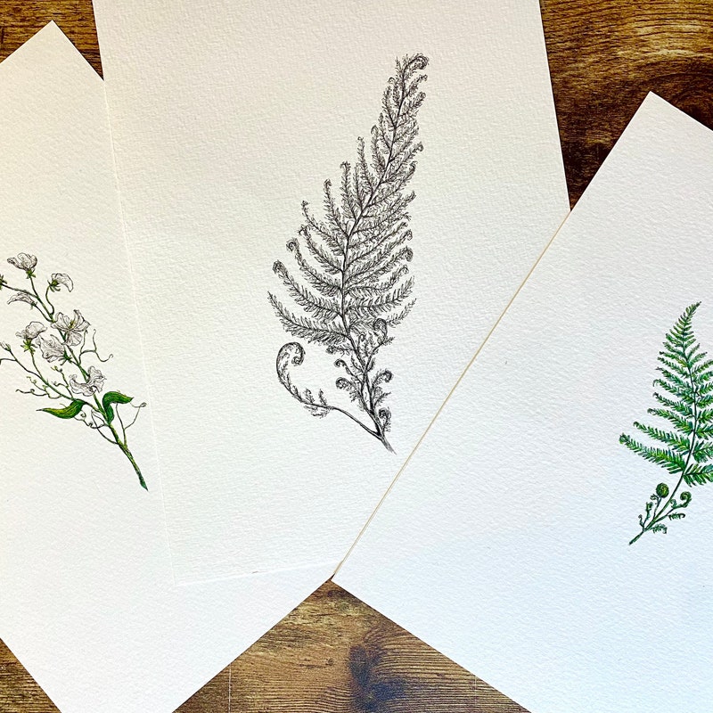Botanical Drawing - Etsy