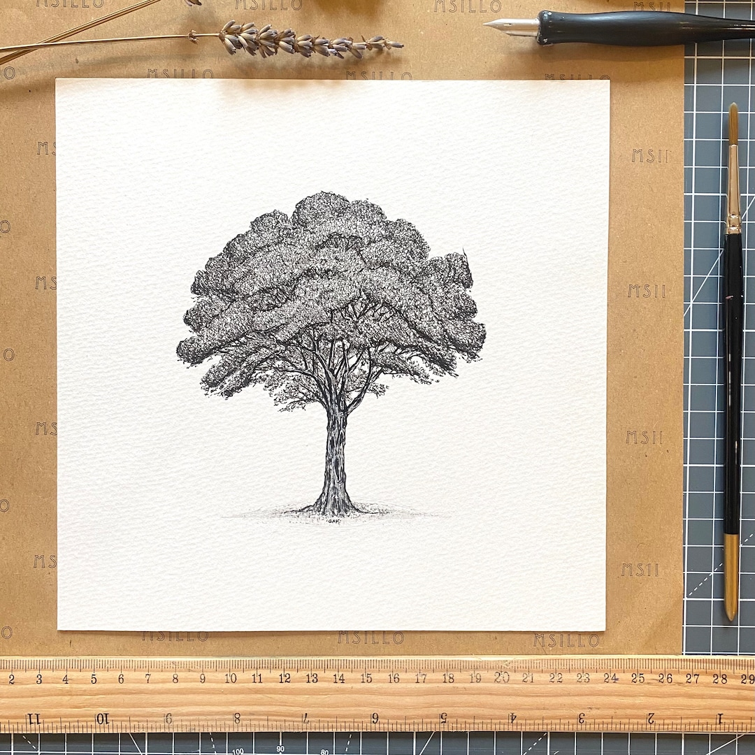 Original Oak Tree Drawing. Black and White, Pen and Ink. English Nature ...