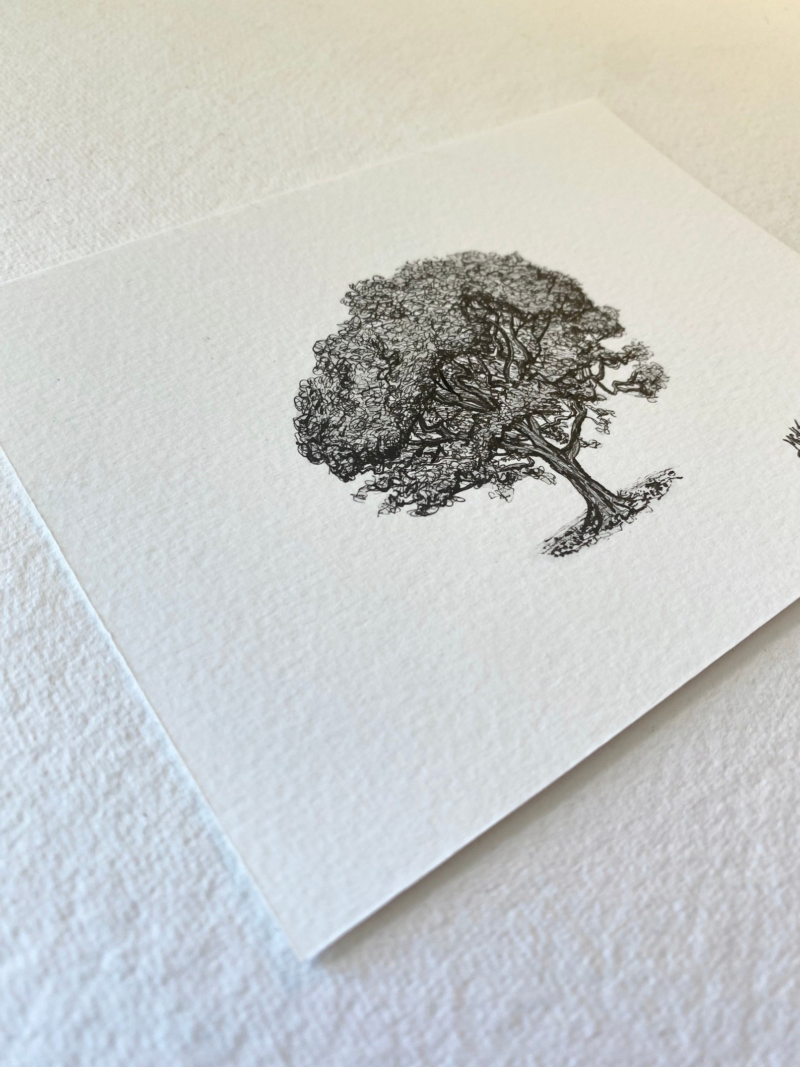 Oak Tree original ink drawing. Hand drawn by tree artist | Etsy