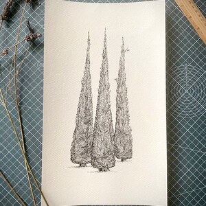 Italian Cypress Trees | Original Drawing. Black, White, Fine-line Pen ...
