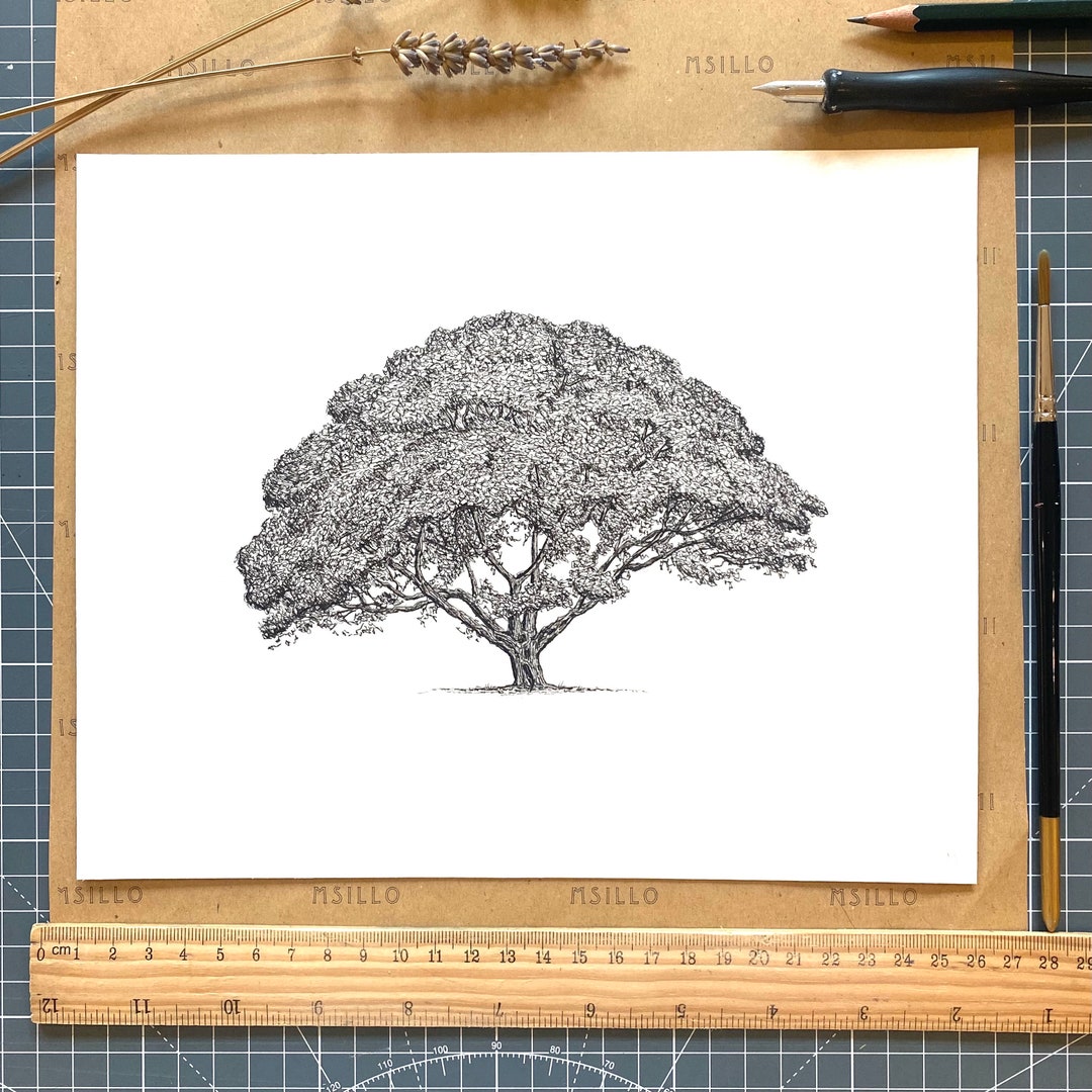 Oak Ink Original Tree Drawing, Hand Drawn Artwork. Black Fine Line Pen ...