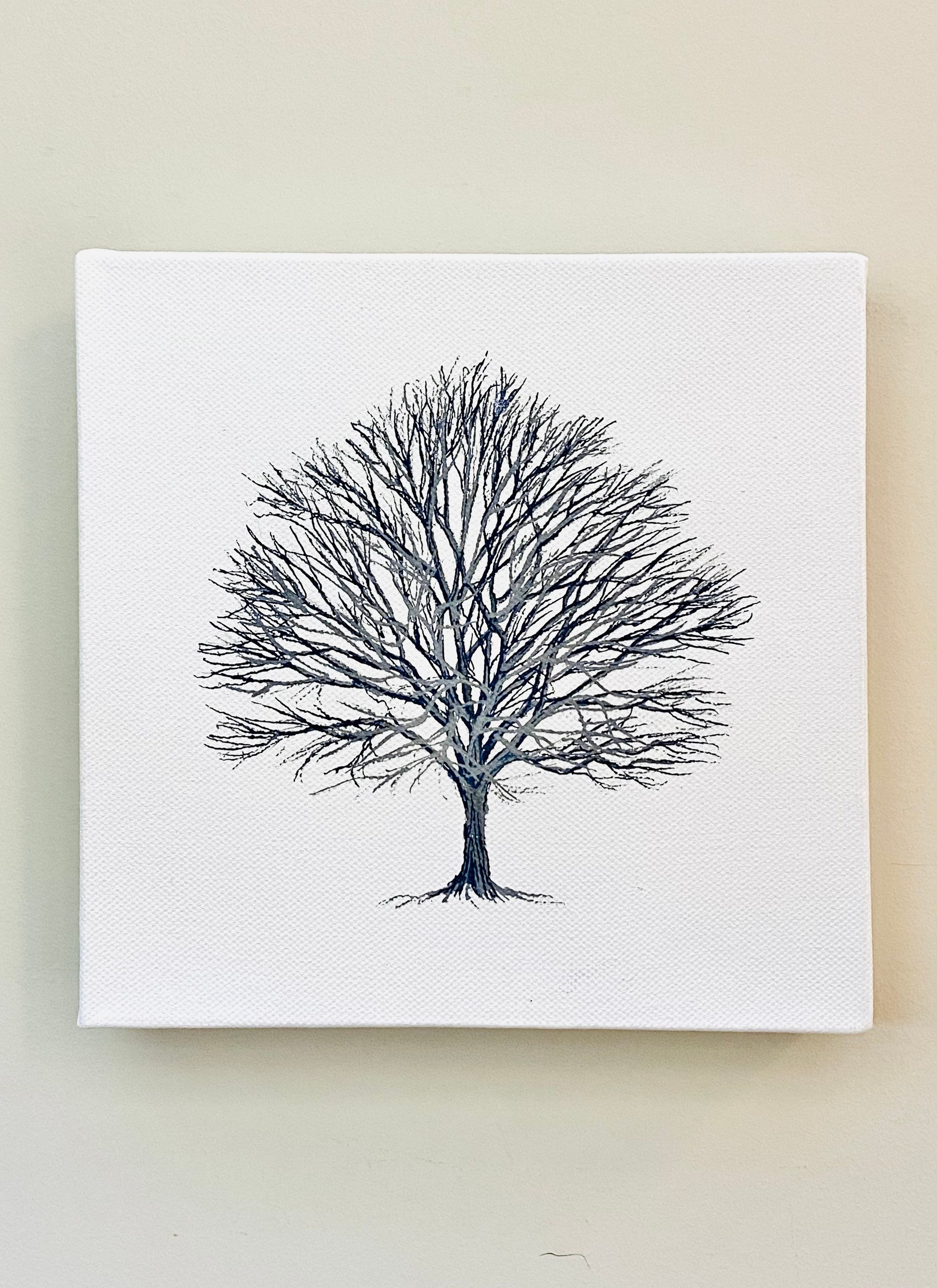 Oak Tree Without Leaves Drawing