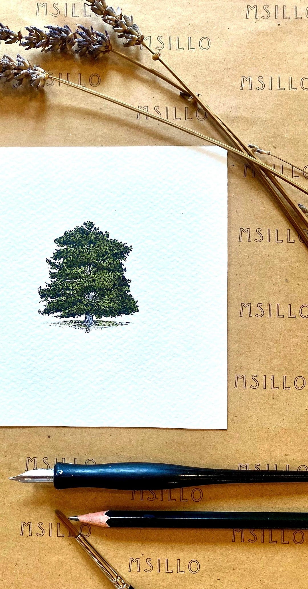 Chestnut Tree Watercolour and Ink. Original Fine Line Illustration ...