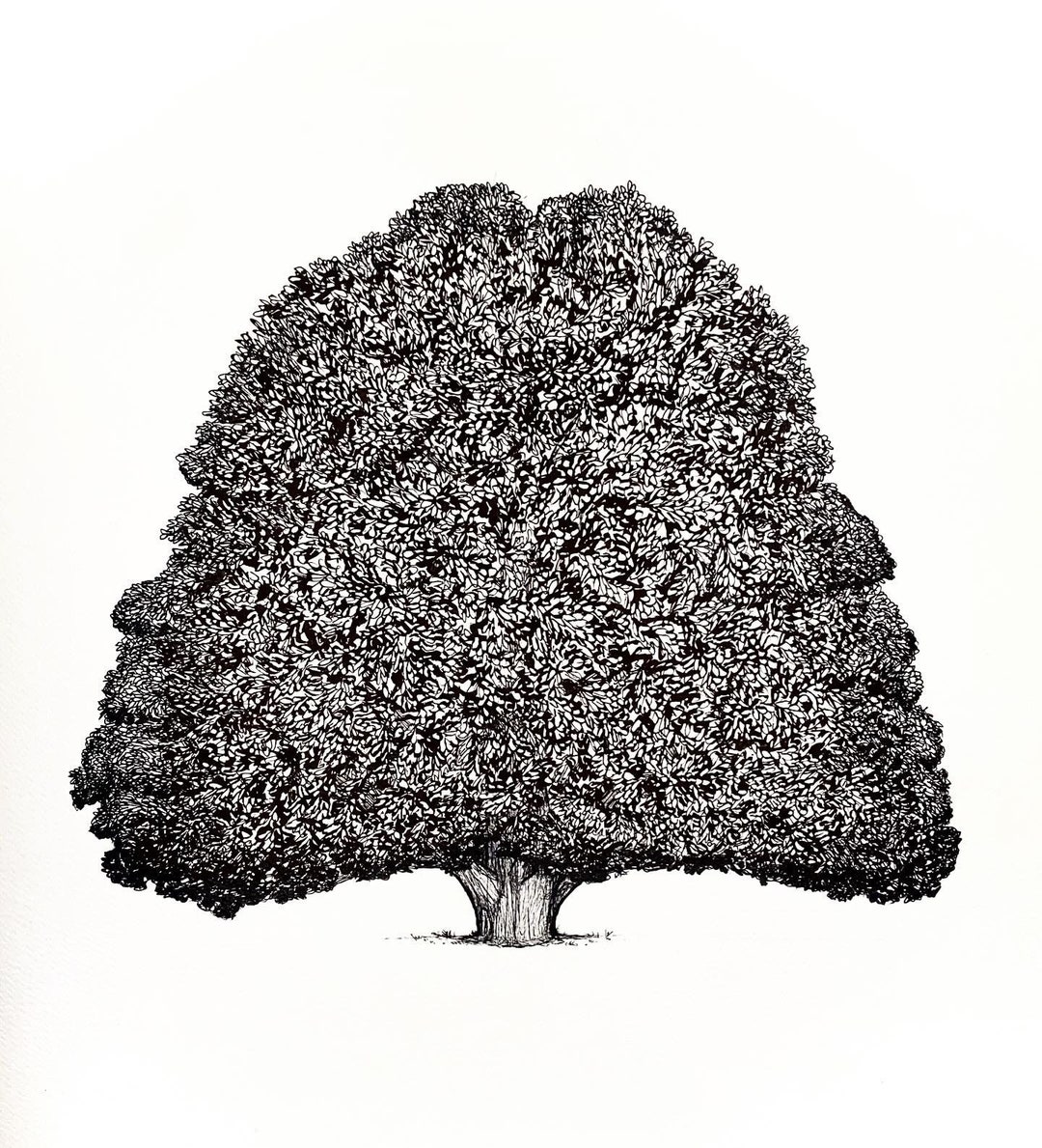 Fine Line Ink Drawing. Beautiful Tree. Original Large Wall Artwork ...