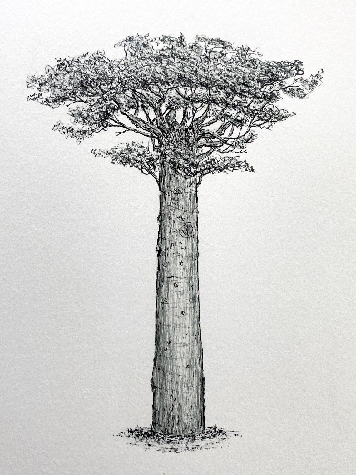 Baobab Ink Drawing. Original hand drawn fine line. Black and | Etsy