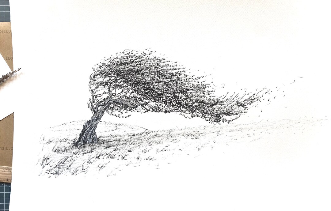 Windswept Hawthorn Original Ink Tree Large Landscape Wall Artwork Pen ...