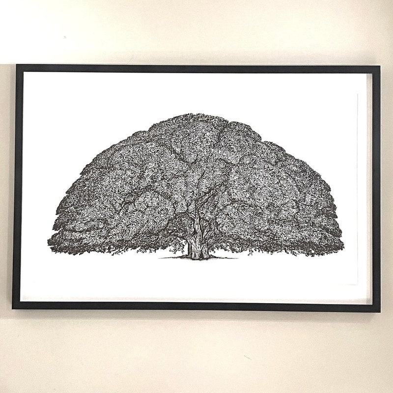 Hand Drawn Tree - Etsy