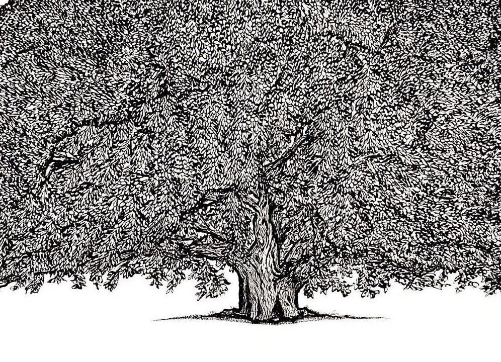 Fine Line Tree Original Large Wall Artwork. Pen and Ink Drawing. Black ...