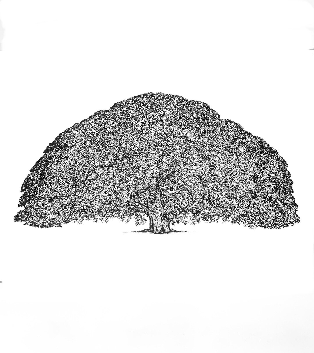 Fine Line Tree Original Large Wall Artwork. Pen and Ink Drawing. Black ...