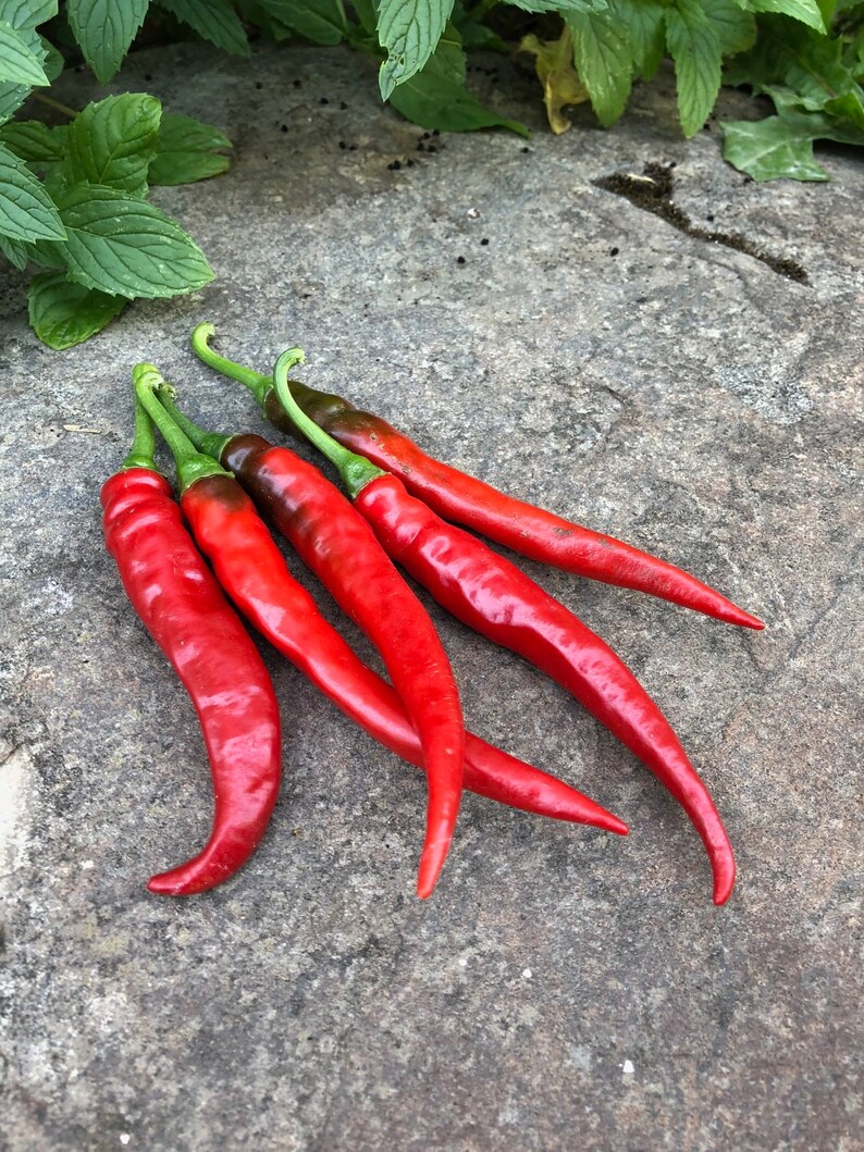 Fresh Ground Ring of Fire Pepper Powder - Etsy