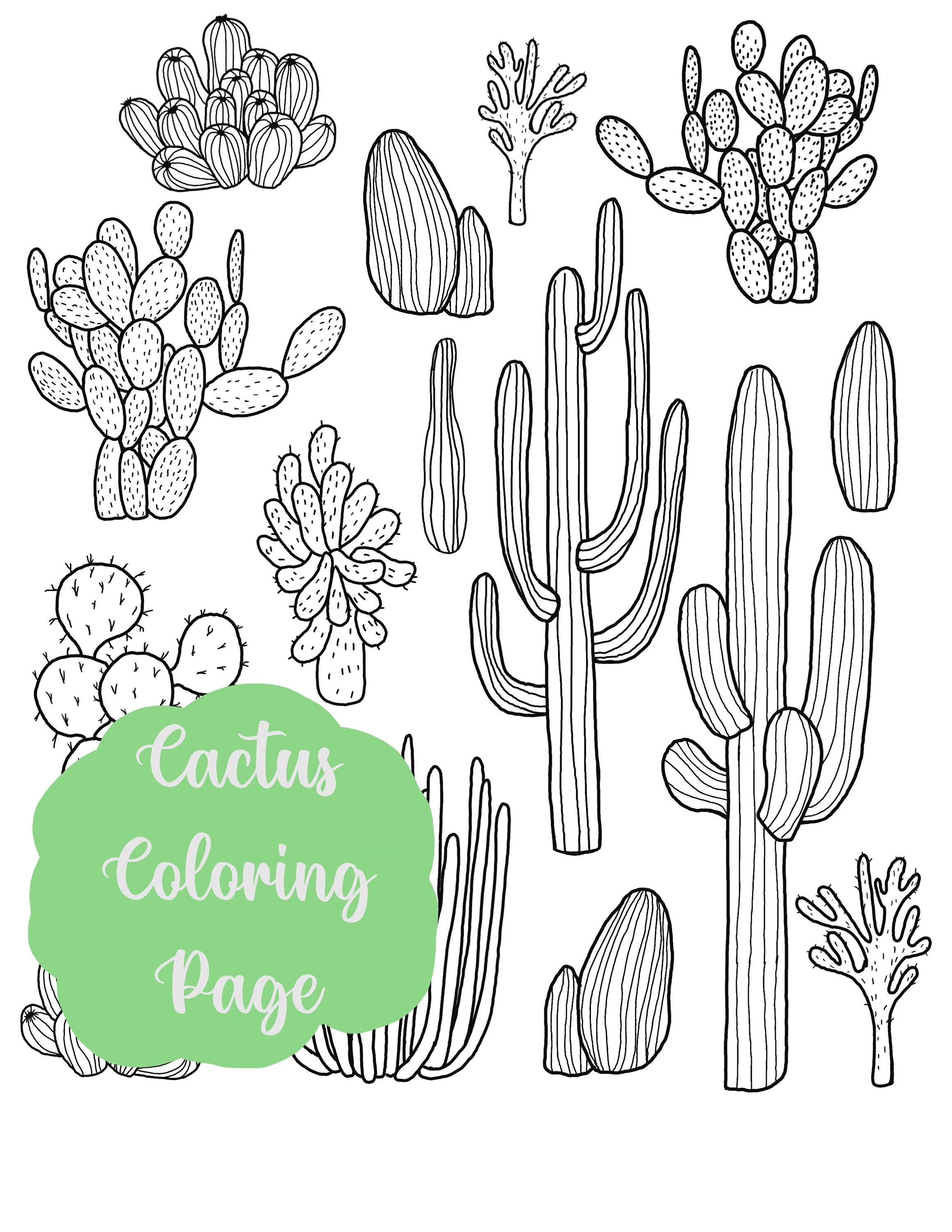 Cactus Coloring Page for Adults and Children - Etsy