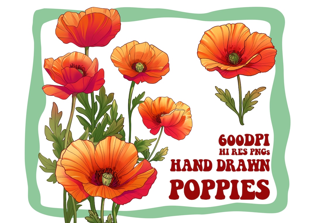 Vintage Hand Drawn Poppy Clipart, Hand-drawn Poppy PNG, Art Nouveau ...