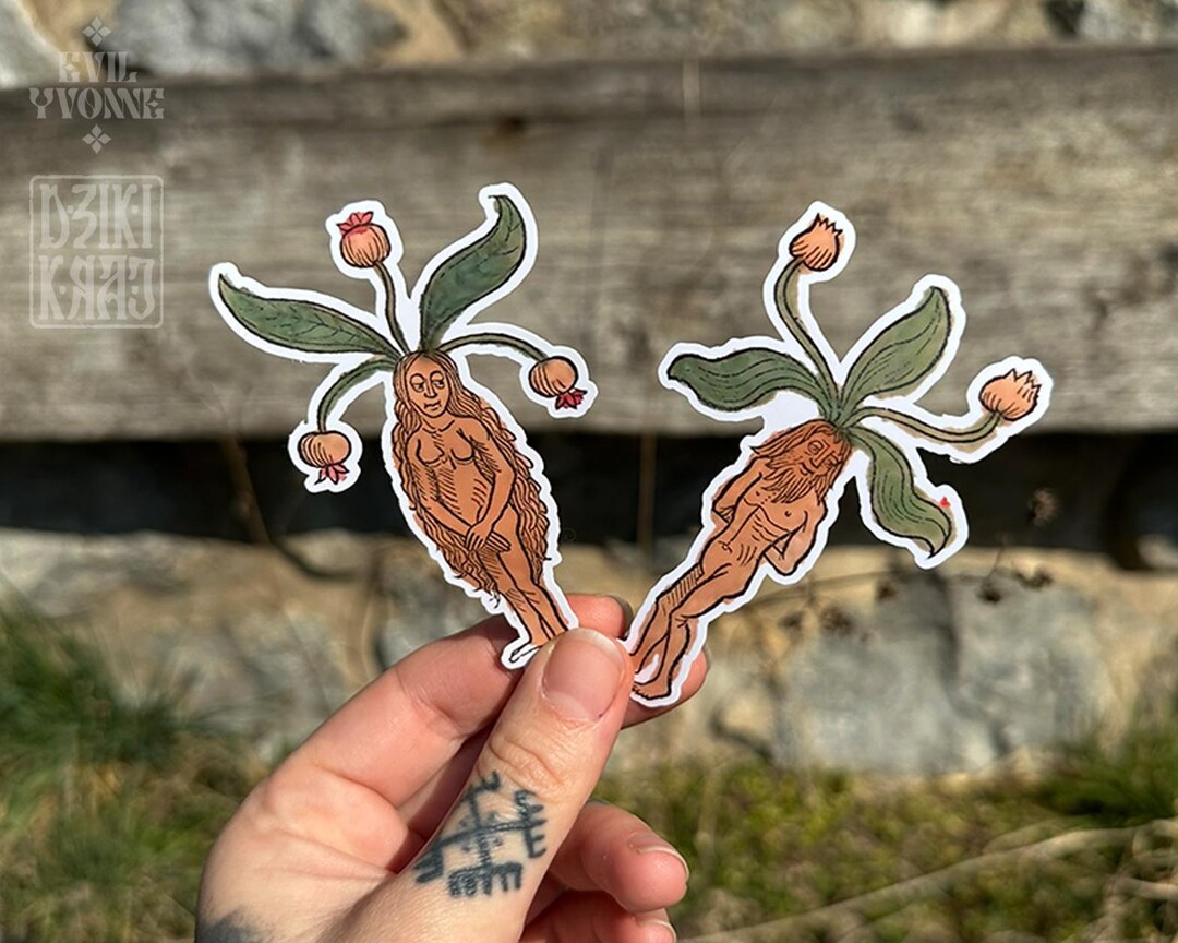 Mandrake Witch Witchy Alchemy Medieval Woodcut Harry Potter Magic Vinyl ...