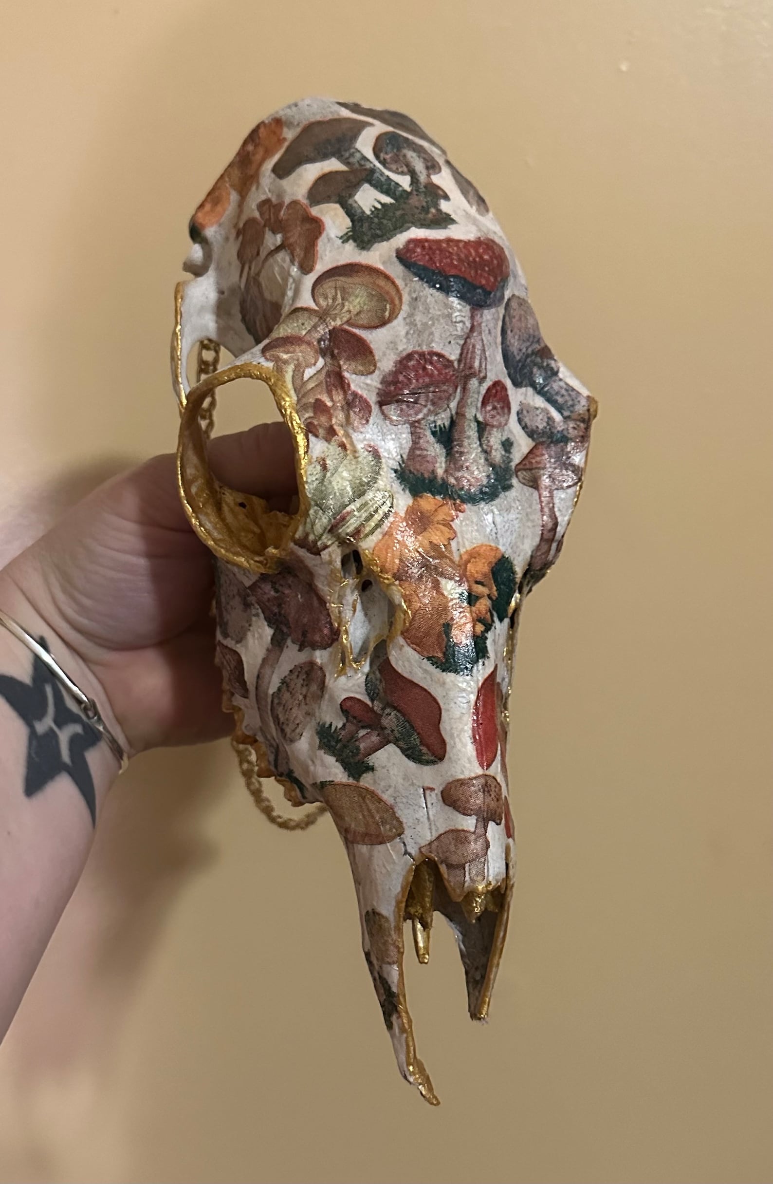 Veiled Lady Doe Skull - Etsy