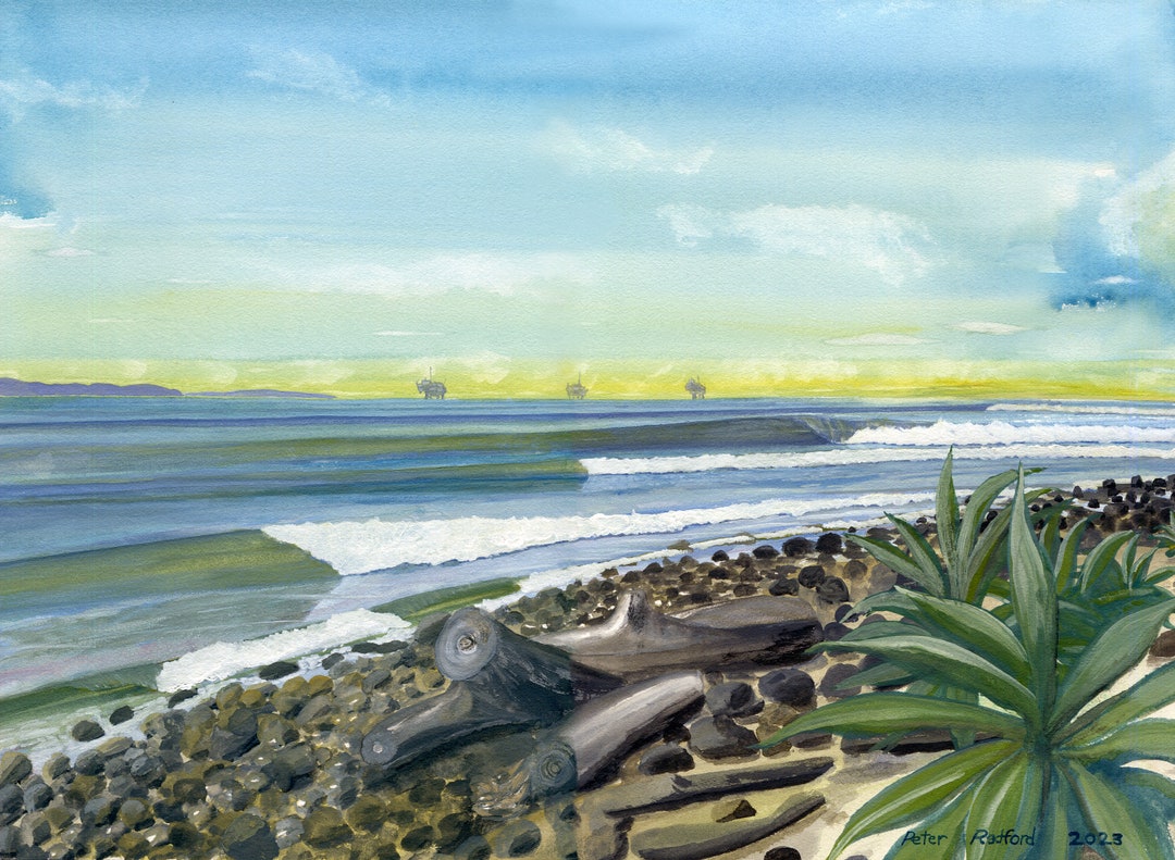 Rincon Point Agaves, 14 X 11 Color Print, Santa Barbara/ventura Beaches, Beach Art Prints ...