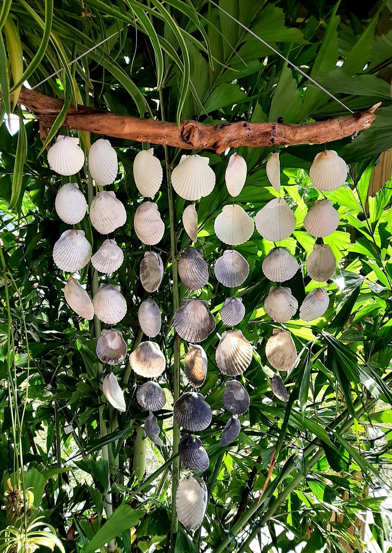 Driftwood Shell Chimes/wall Hanging - Etsy