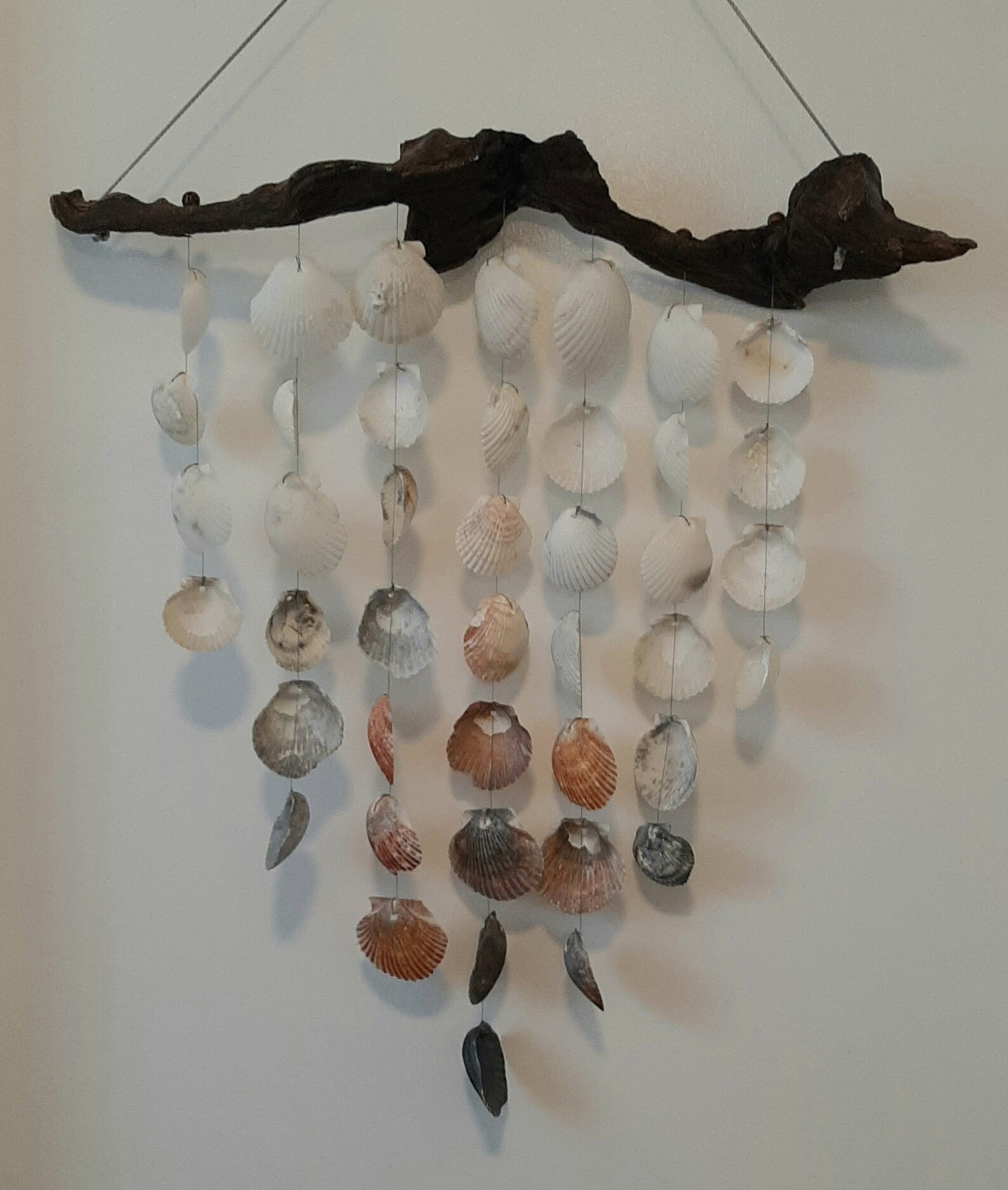 Beautiful Handmade Driftwood & Shell Coastal Chimes/wall Hanging - Etsy