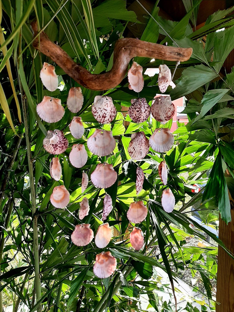 Beautiful Handmade Driftwood & Shell Coastal Chimes/wall Hanging - Etsy