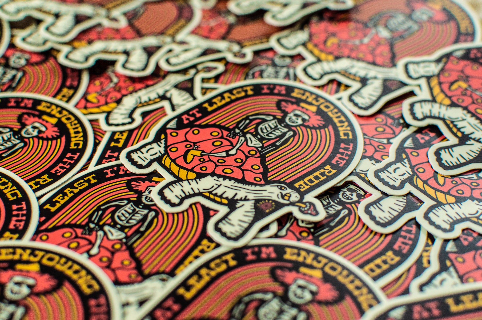 At Least I'm Enjoying the Ride Sticker- 2 Pack - Etsy