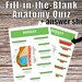 Breast Anatomy QUIZ Worksheet + Answers - Digital Download Printable ...