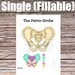 Pelvis Girdle Anatomy Worksheet- Single FILLABLE- Digital Download ...