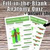 External Ear Anatomy QUIZ Worksheet + Answers- Digital Download ...