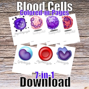 Blood Cells 7-in-1 Colored-in-pages, Digital Download Printable RBC ...