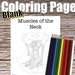 Muscles of the Neck Anatomy Coloring Page- BLANK- Digital Download ...