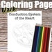 Conduction System of the Heart Anatomy Coloring Page- BLANK- Digital ...