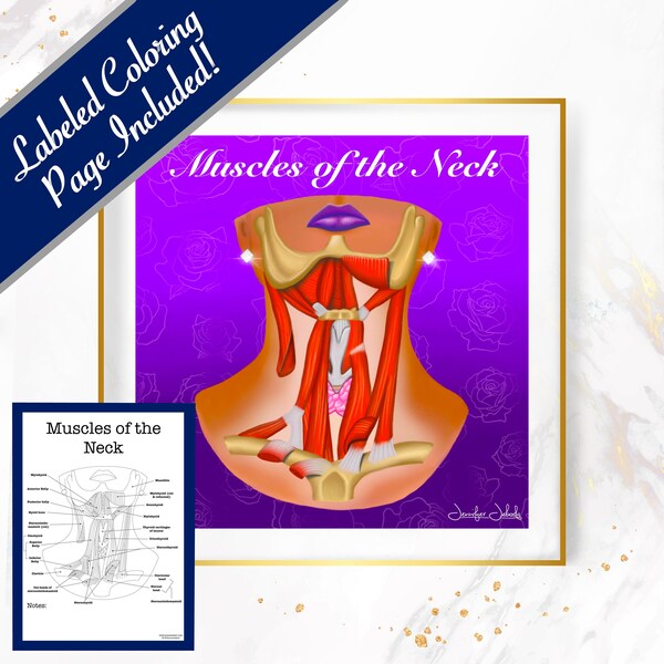 Otolaryngology Art - Etsy