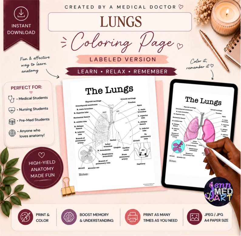 Lung Anatomy Coloring Page | Labeled | Respiratory System Study Guide ...