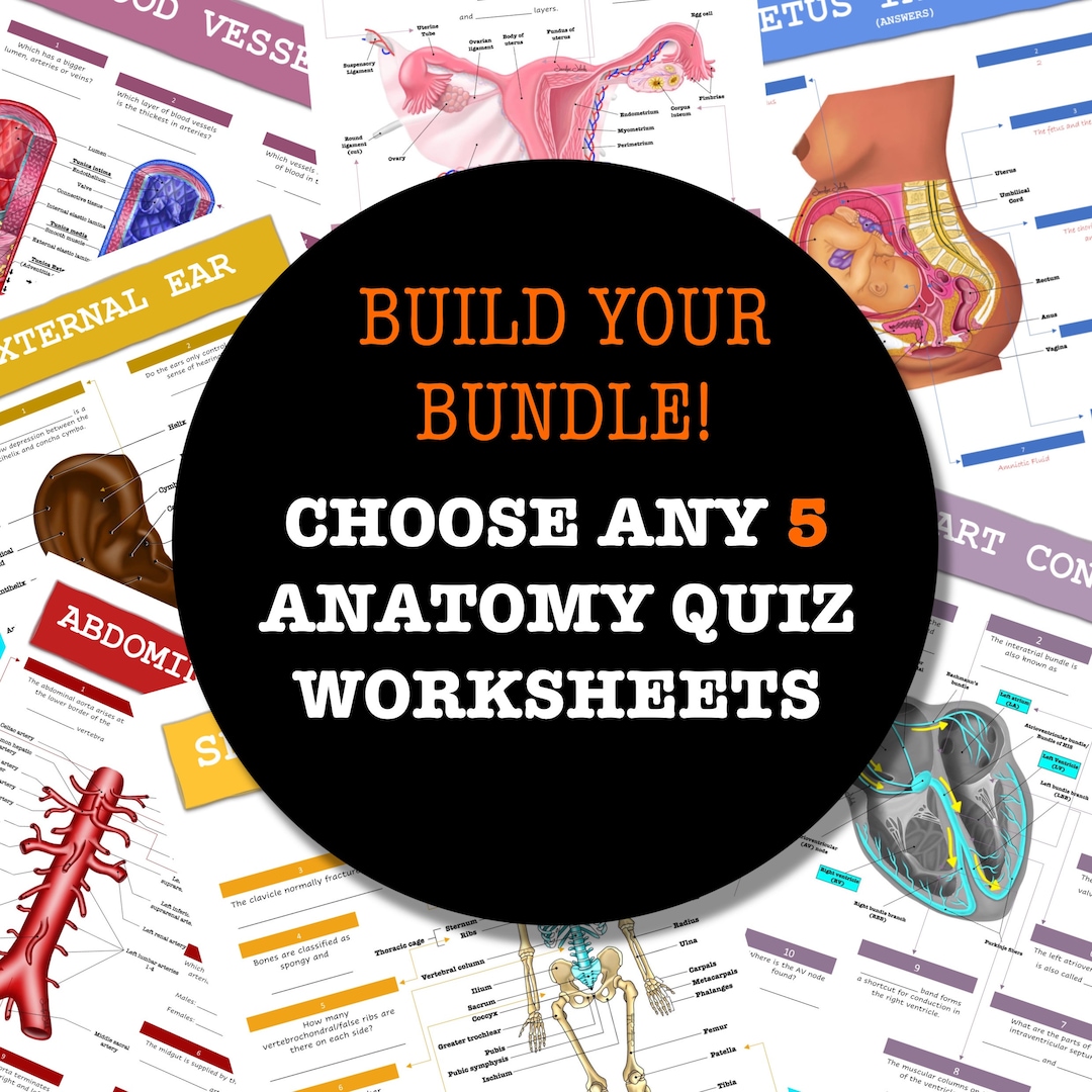 Build-your-own Anatomy Quiz Worksheet Bundle - 5 Pages - Digital ...