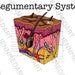 Integumentary System Anatomy Worksheet- Single FILLABLE- Digital ...