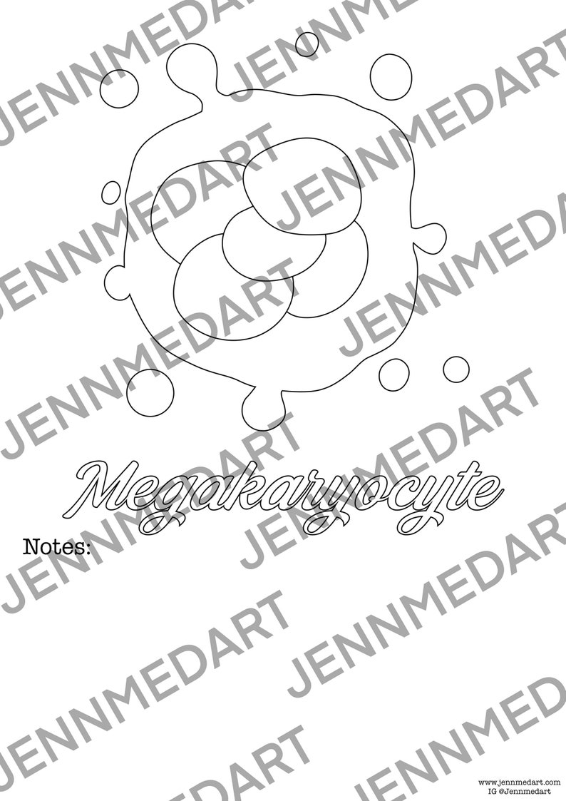 Blood Cells, 7-in-1 Coloring Pages, Digital Download Printable RBC ...