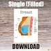 Breast Anatomy Worksheet- Single FILLED- Digital Download Human Anatomy ...