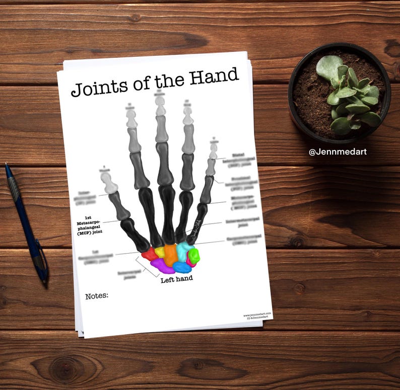 Joints of Hand Anatomy Coloring Page- LABELED- Digital Download DIP PIP ...