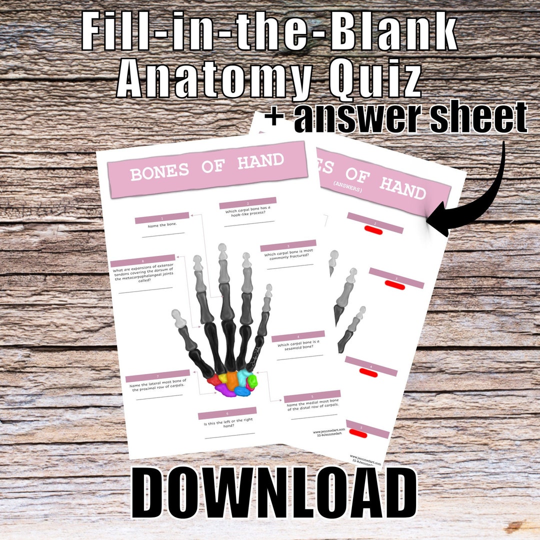 Bones of the Hand Anatomy QUIZ Worksheet + Answers - Digital Download ...