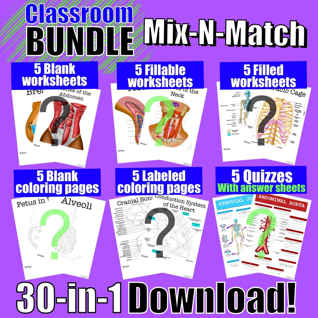 Build-your-own Classroom Worksheet Bundle - 30 Pages - Digital Download ...